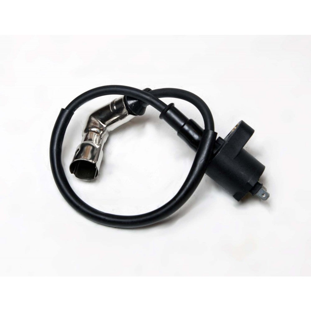 GIO & TAO TAO Stock Parts Catalogue: X21A Coil - PBC725XL